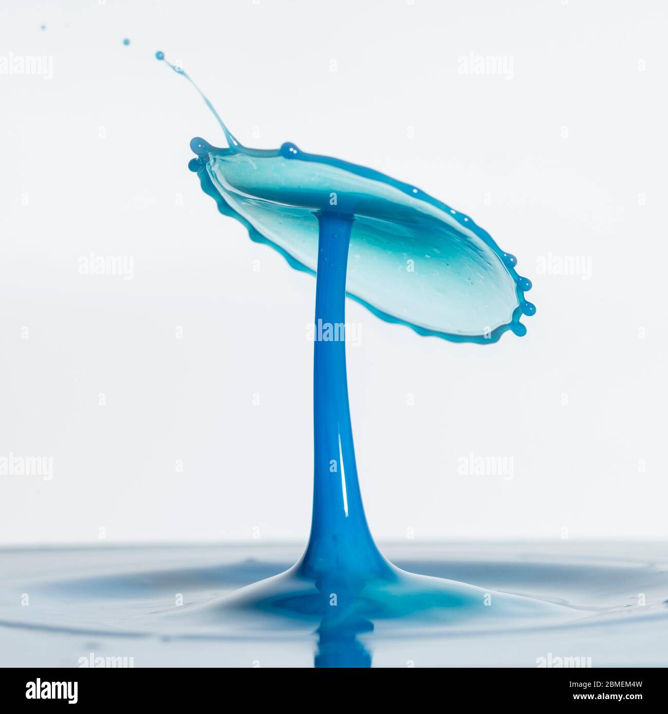 Stunning unique abstract water splash photography images with vibrant ...