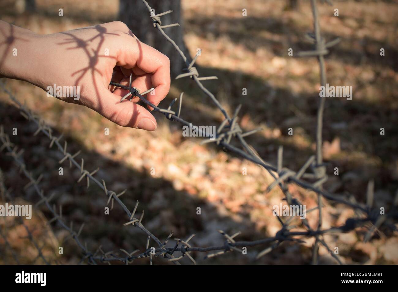 Woman's hand holding barbed wire fence for emotional captivity and ...