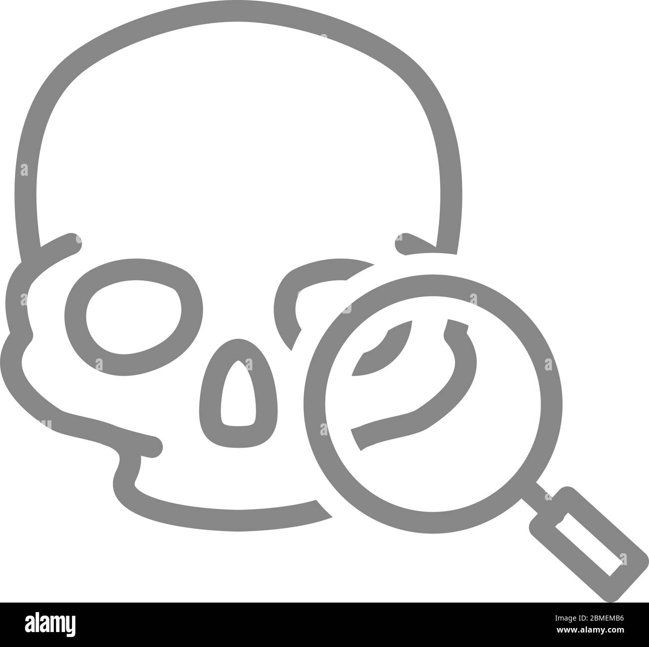 Skull with magnifying glass line icon. Cranium research, bone structure ...