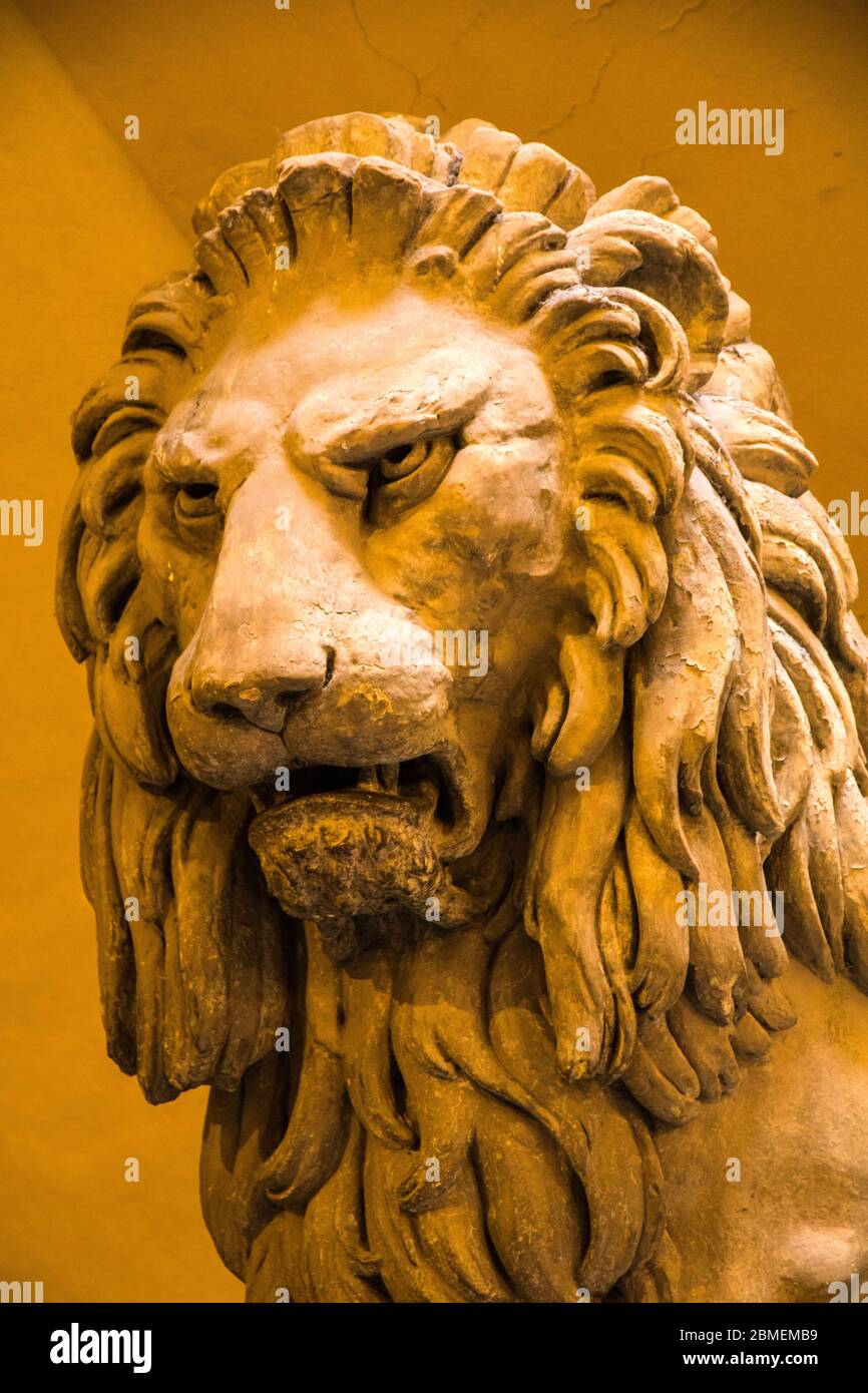 Statue of a lion's head Stock Photo - Alamy