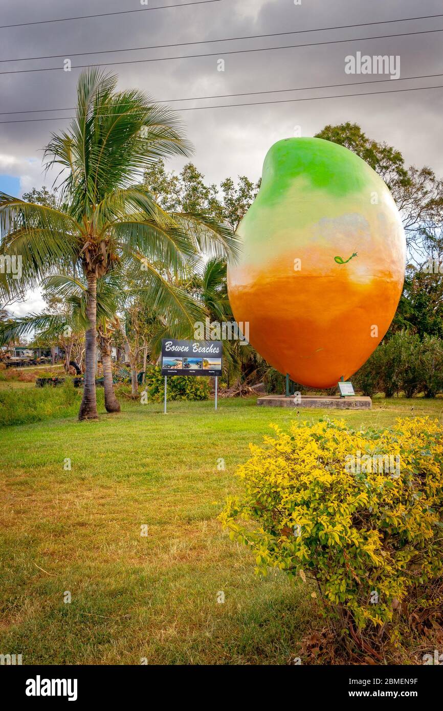 Australia queensland mango hi-res stock photography and images - Alamy