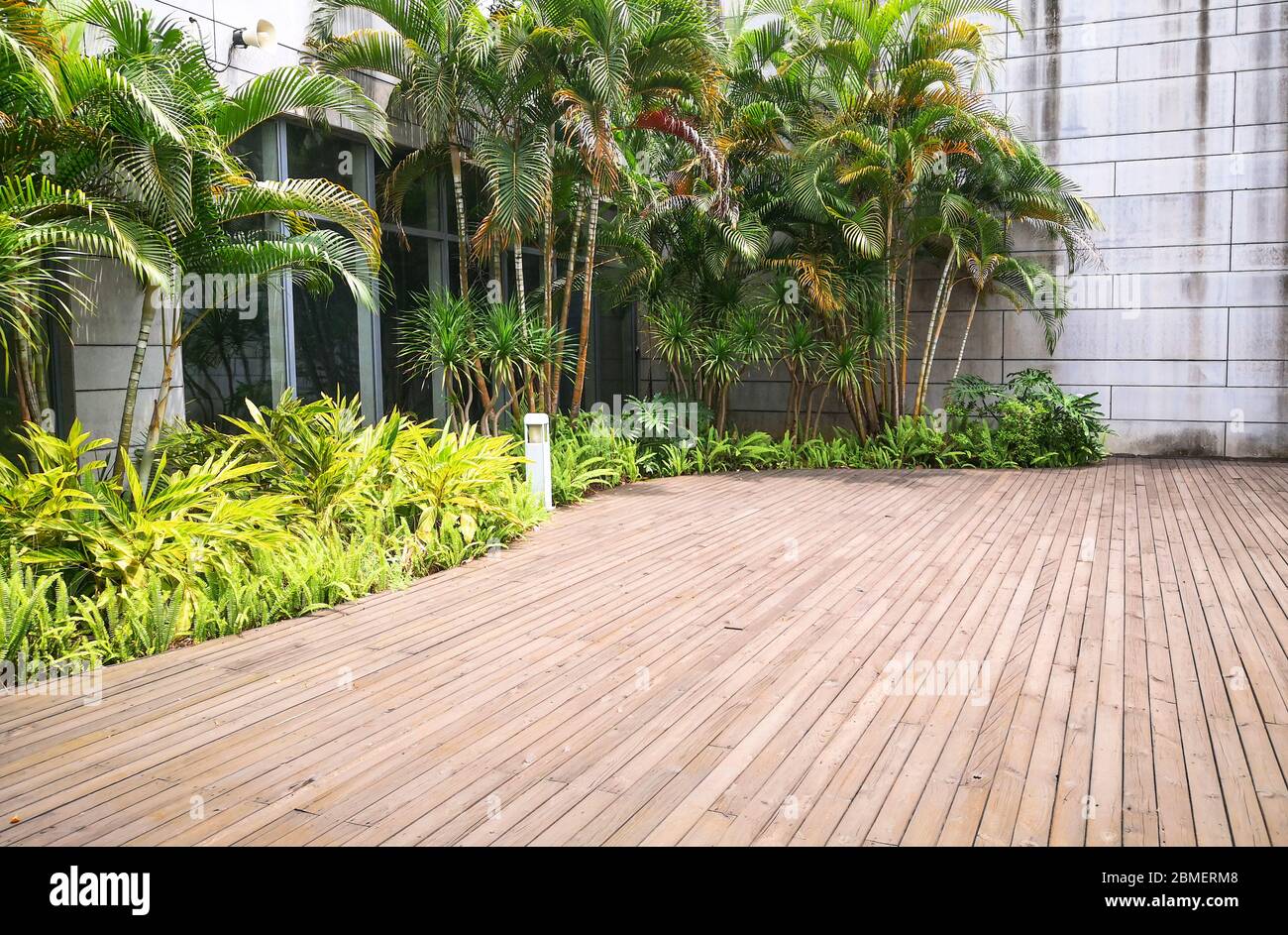 Courtyard with palm tree hi-res stock photography and images - Alamy