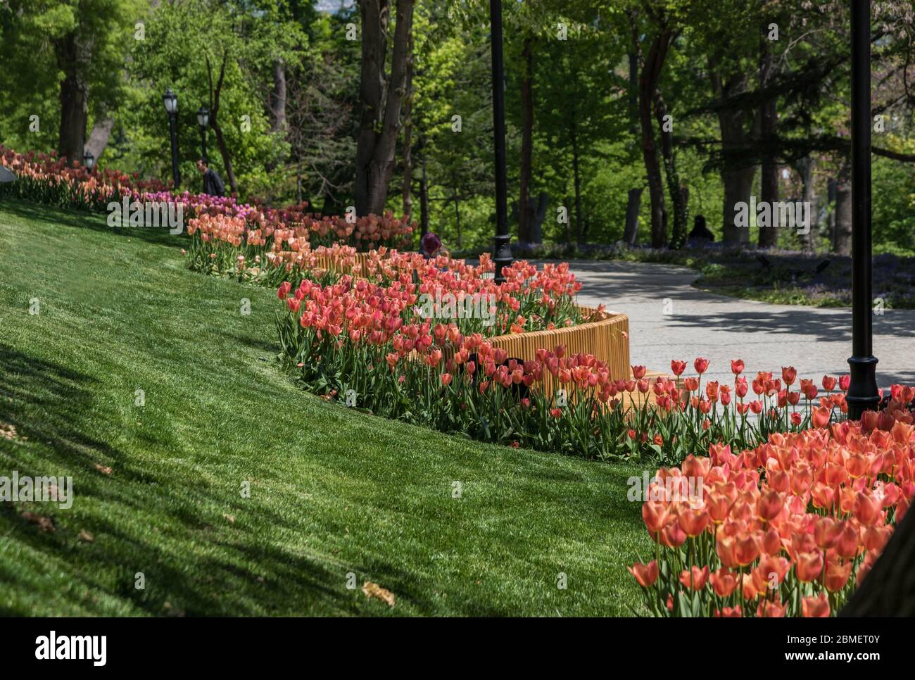 Istanbul, Turkey - one of the largest public parks in Istanbul, the ...