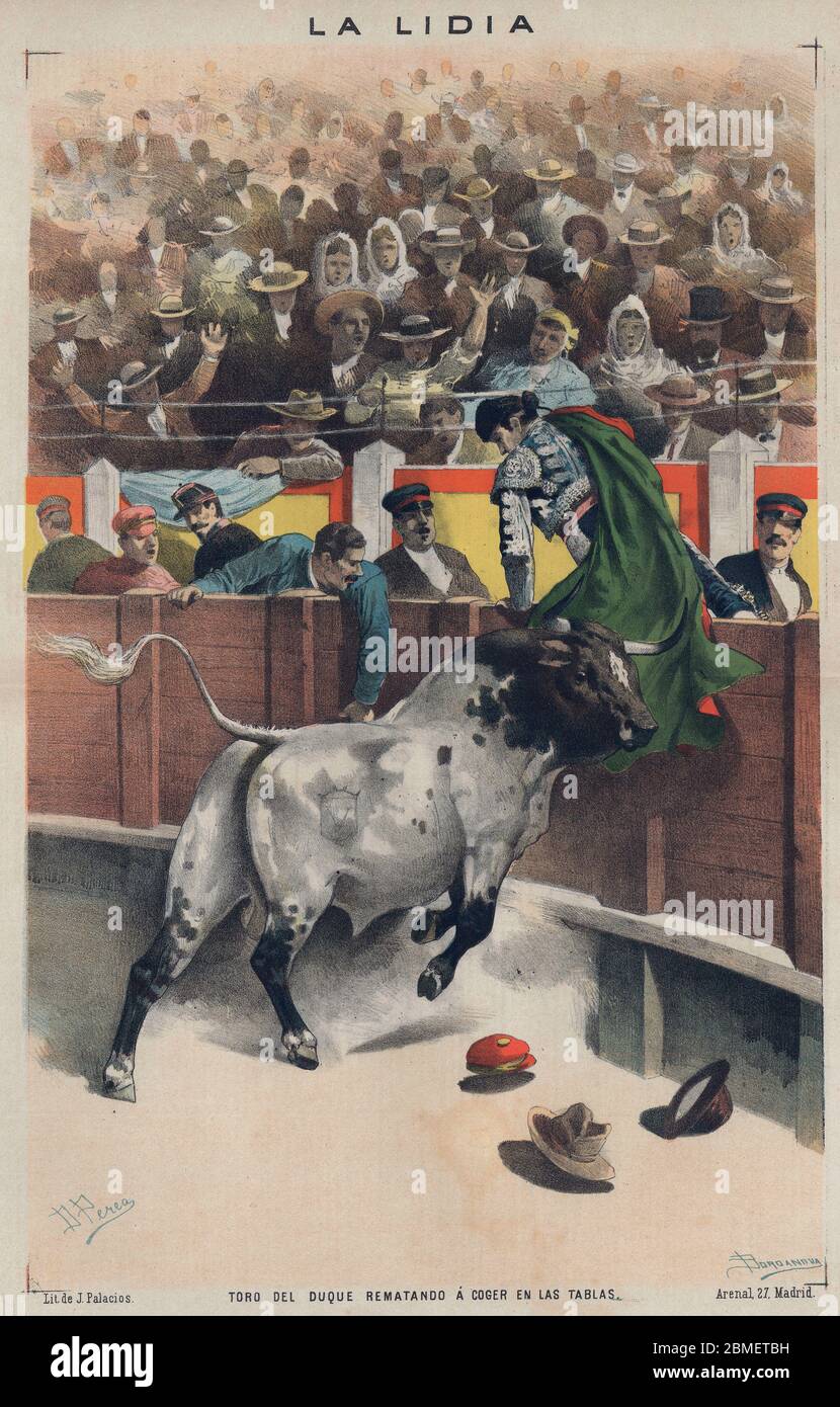 La lidia. Toro del duque rematando a coger en las tablas. Año 1886 ...