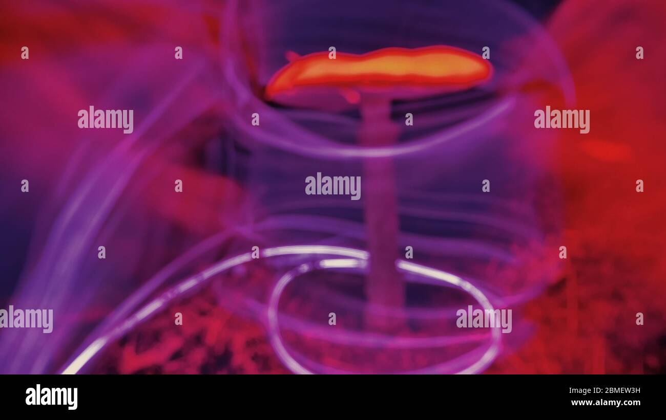 Neon nature. Mushrooms and plants illuminated by inert gas. Paradoxical ...