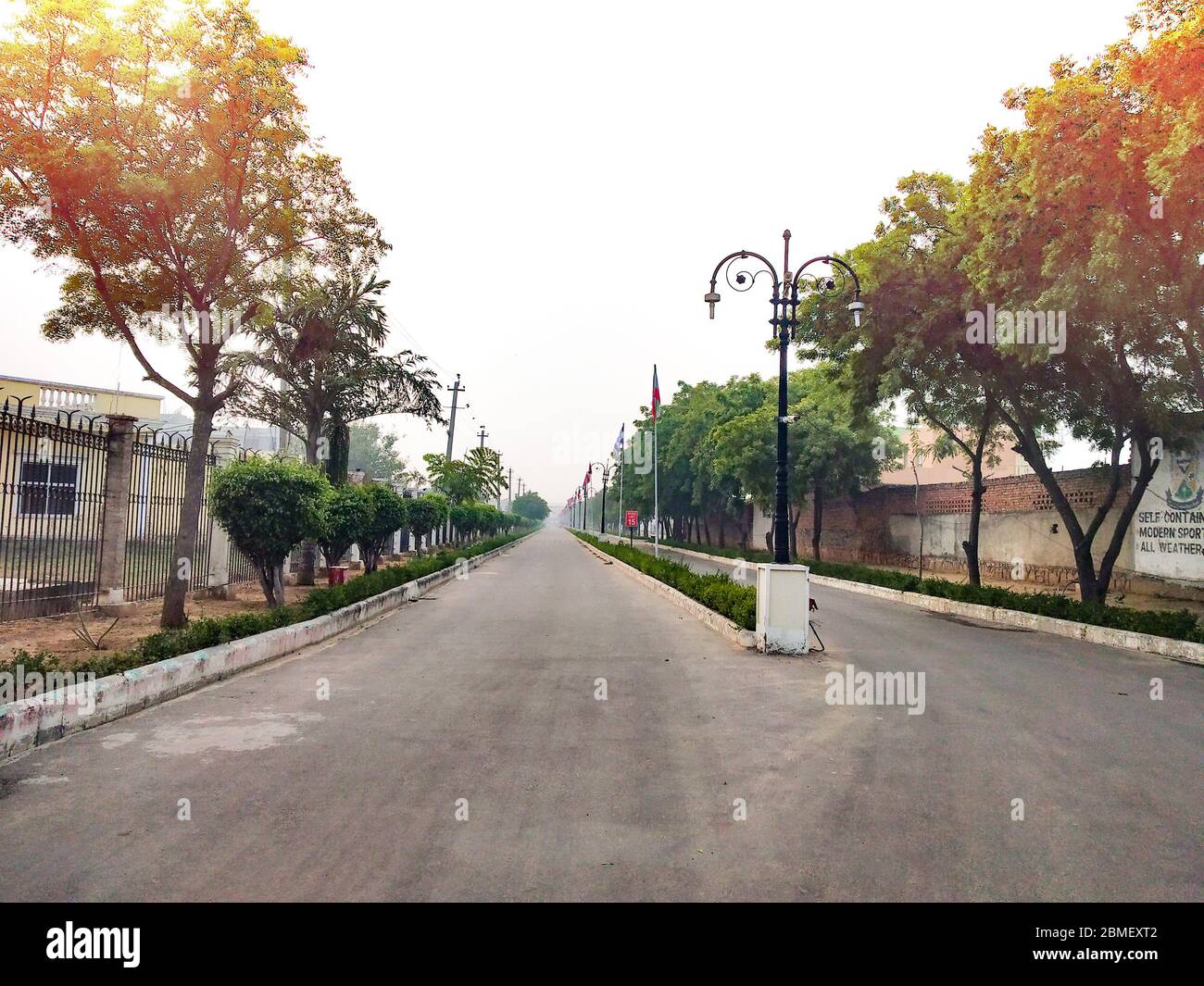 Asphalt road clean with both side trees with colorful flowers Stock ...