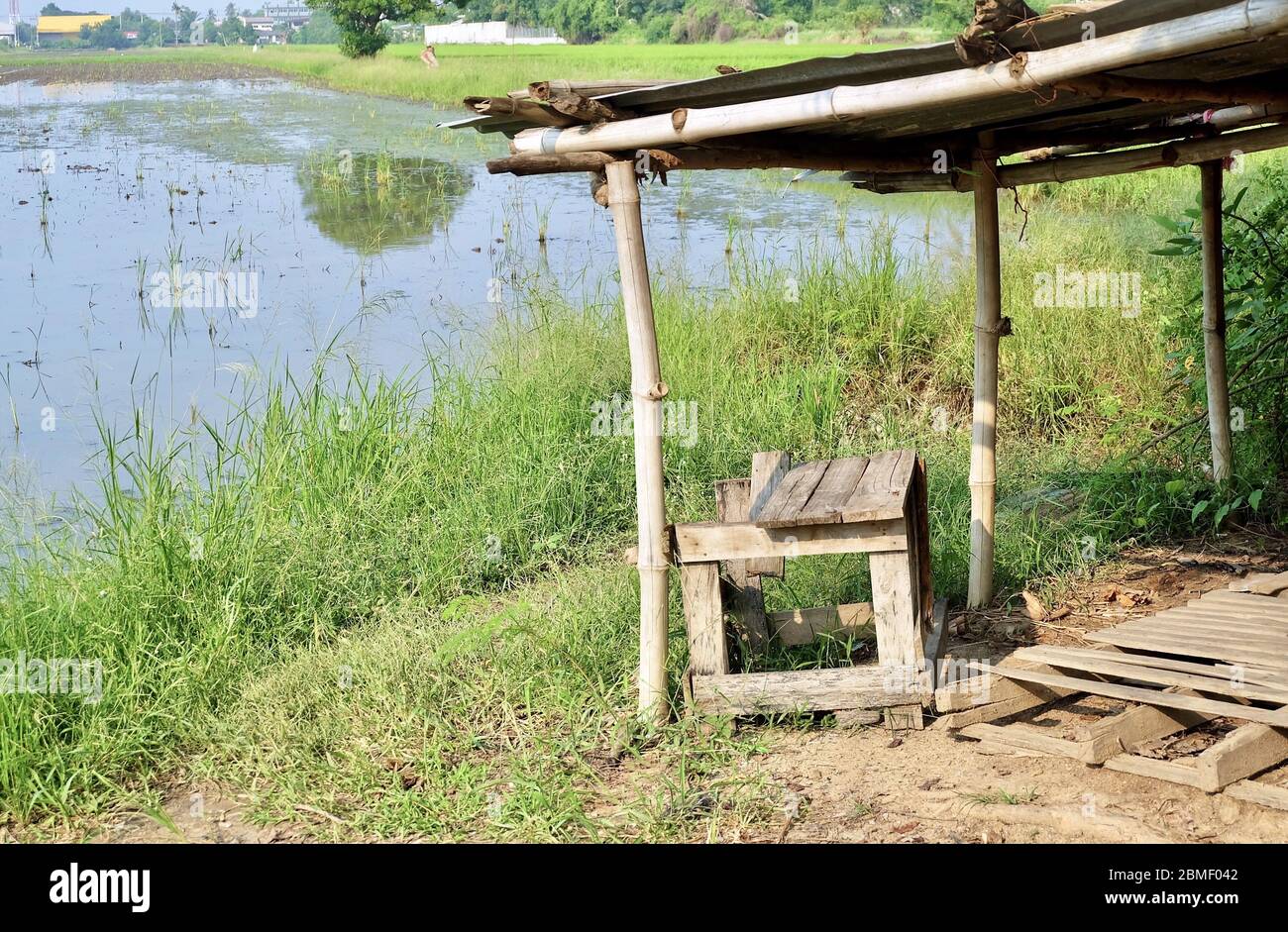 Small Hut with Rice Straw After Harvesting Season in The Paddy Filed ...