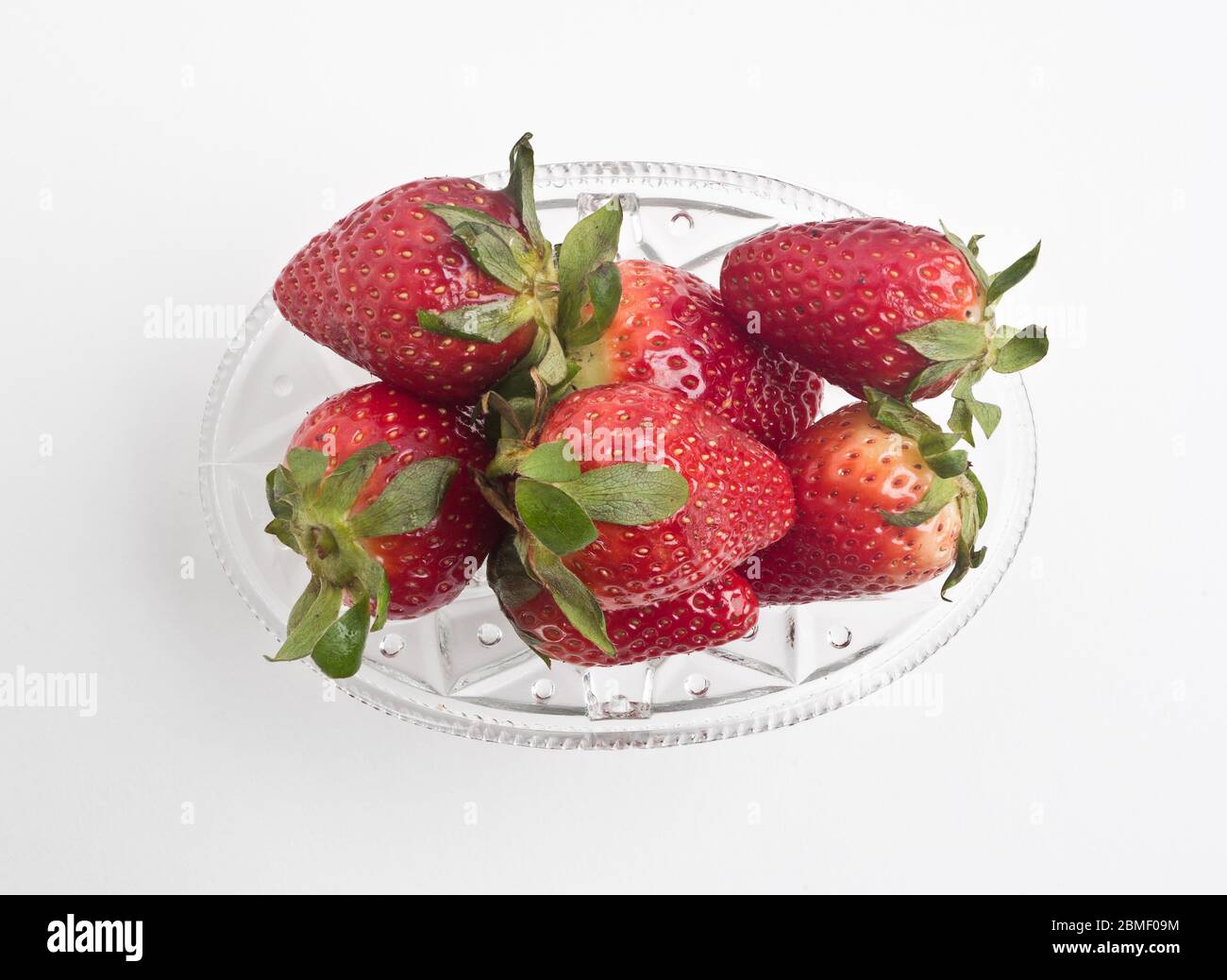 Stoloniferous creeping plants hi-res stock photography and images - Alamy