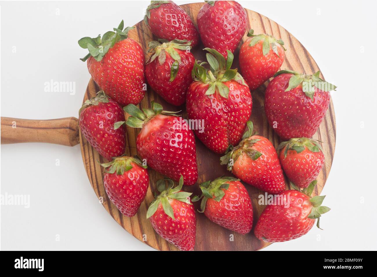 Stoloniferous creeping plants hi-res stock photography and images - Alamy