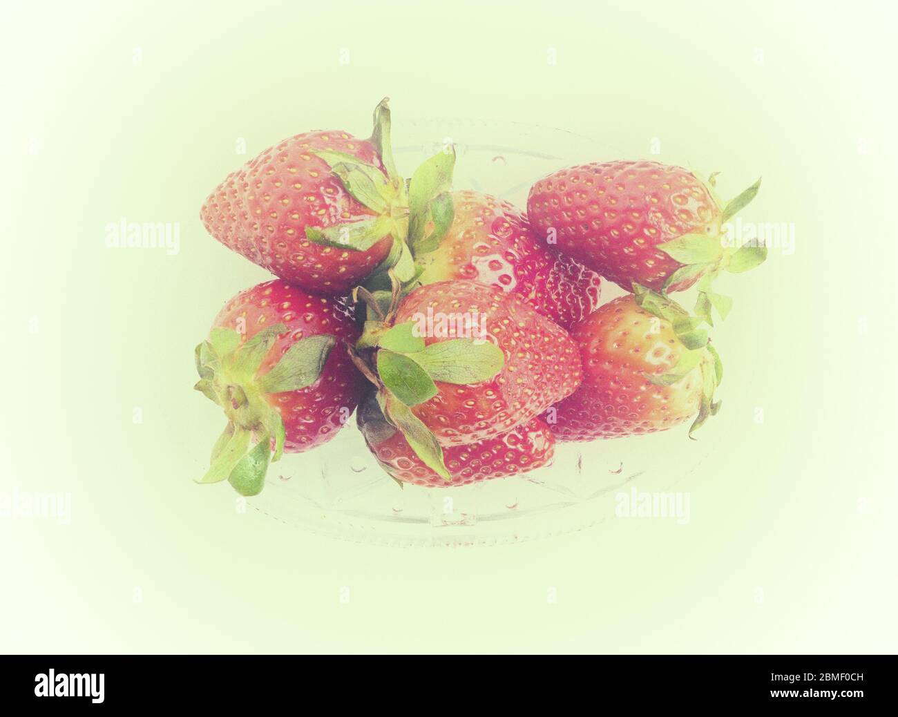 Fragaria, commonly called strawberry or strawberry, is a genus of ...