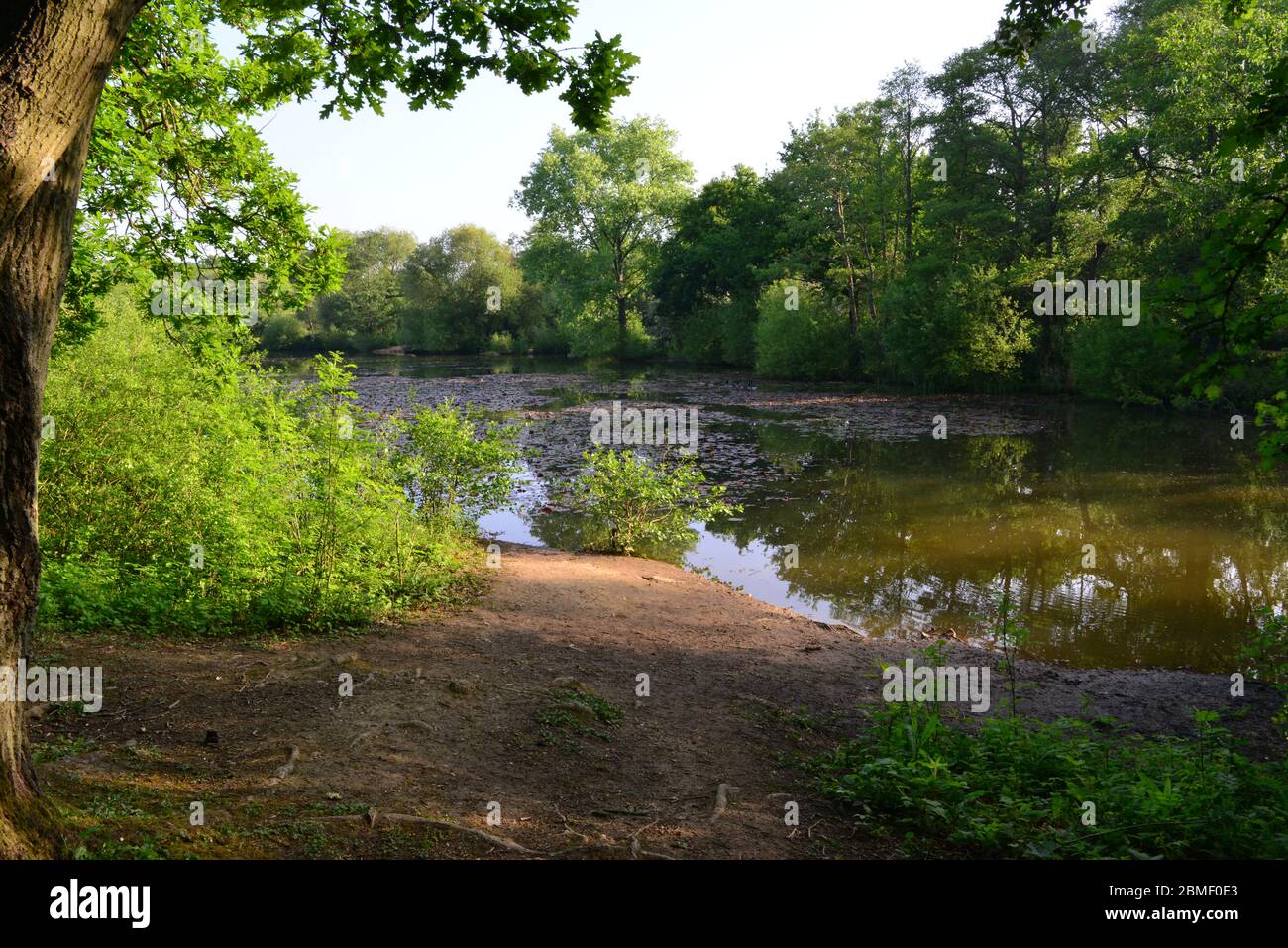 Riverside Park in Horley, Surrey in May Stock Photo - Alamy