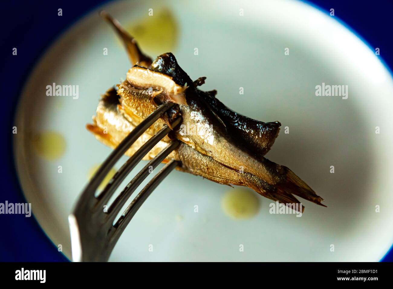Impaled Fish High Resolution Stock Photography and Images - Alamy