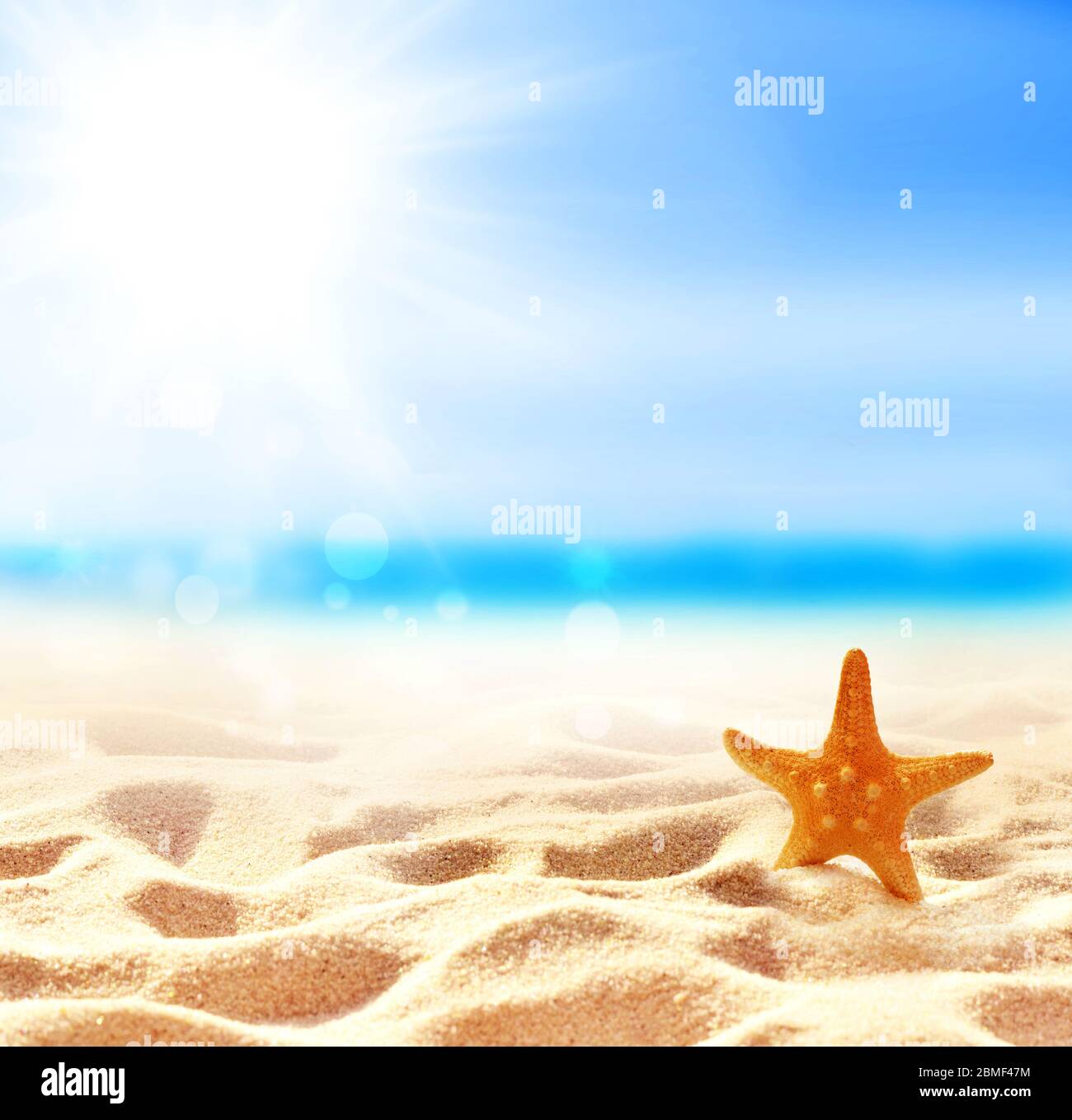 Landscape with starfish and seashell on tropical beach. Summer concept ...