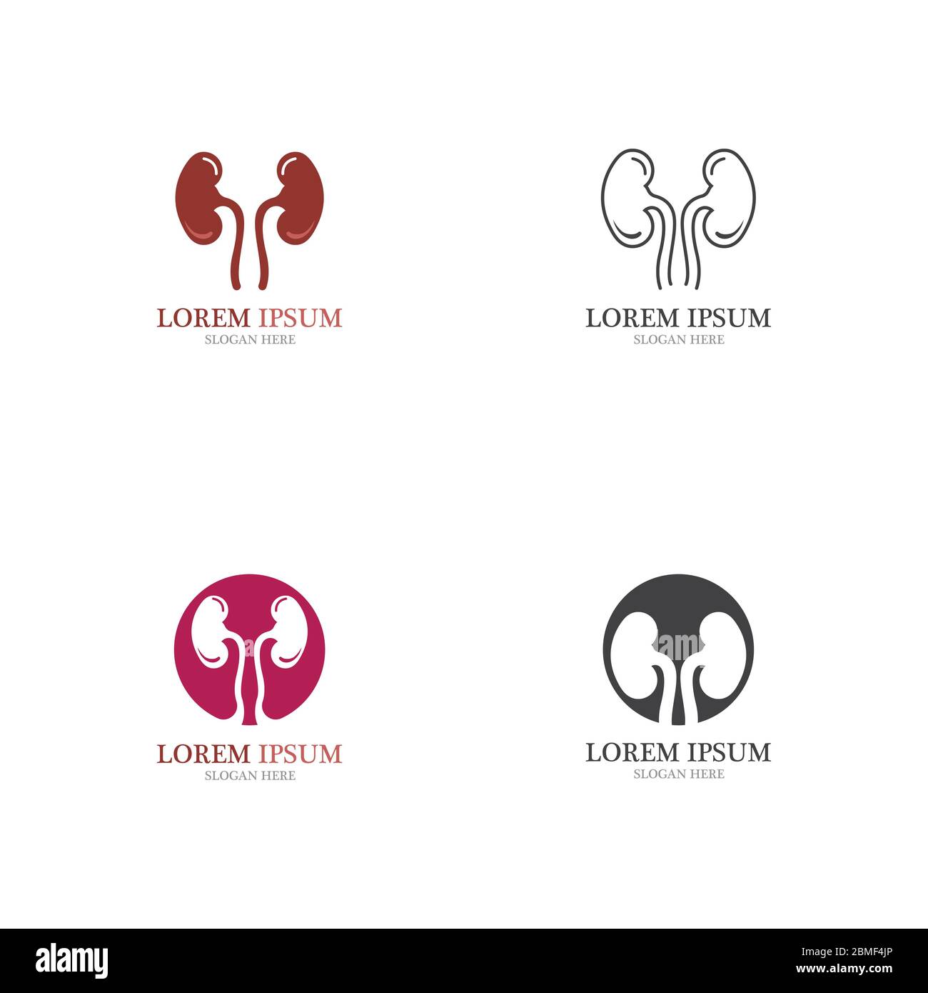 kidney vector illusrtation design logo template Stock Vector Image ...