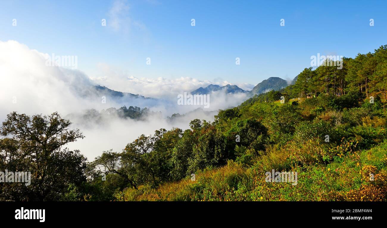 Idyllic landscape North of Thailand for background or wallpaper. Design ...