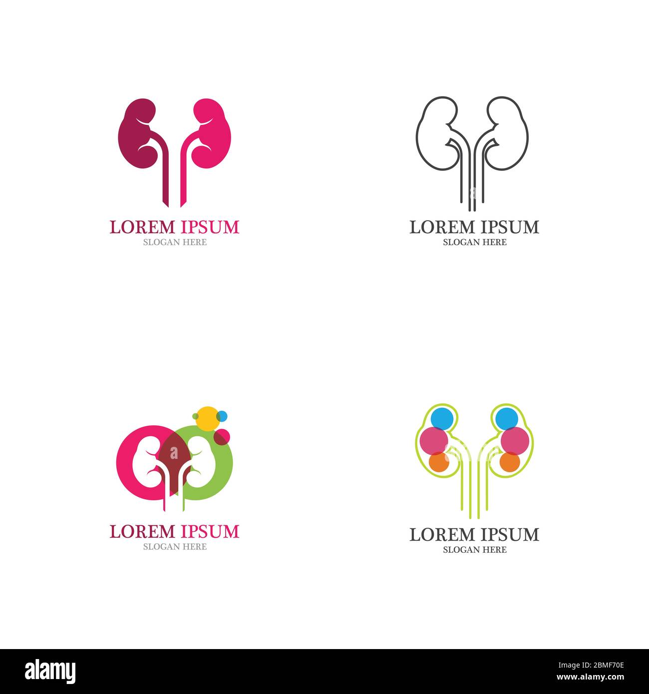 kidney vector illusrtation design logo template Stock Vector Image ...