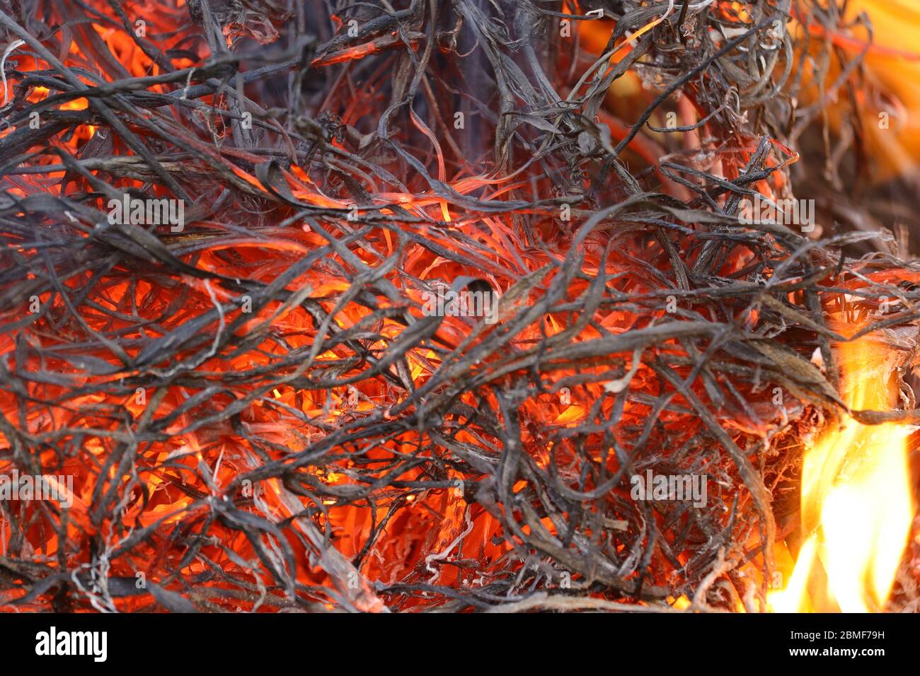 close up of embers of burning fire background Stock Photo - Alamy
