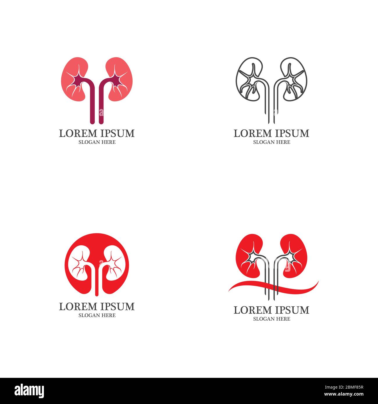 kidney vector illusrtation design logo template Stock Vector Image ...