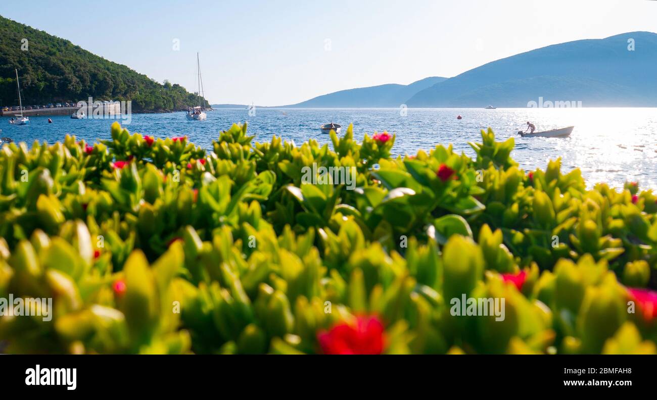 An idyllic picture of a seaside resort - Adriatic Sea, Rose Village ...