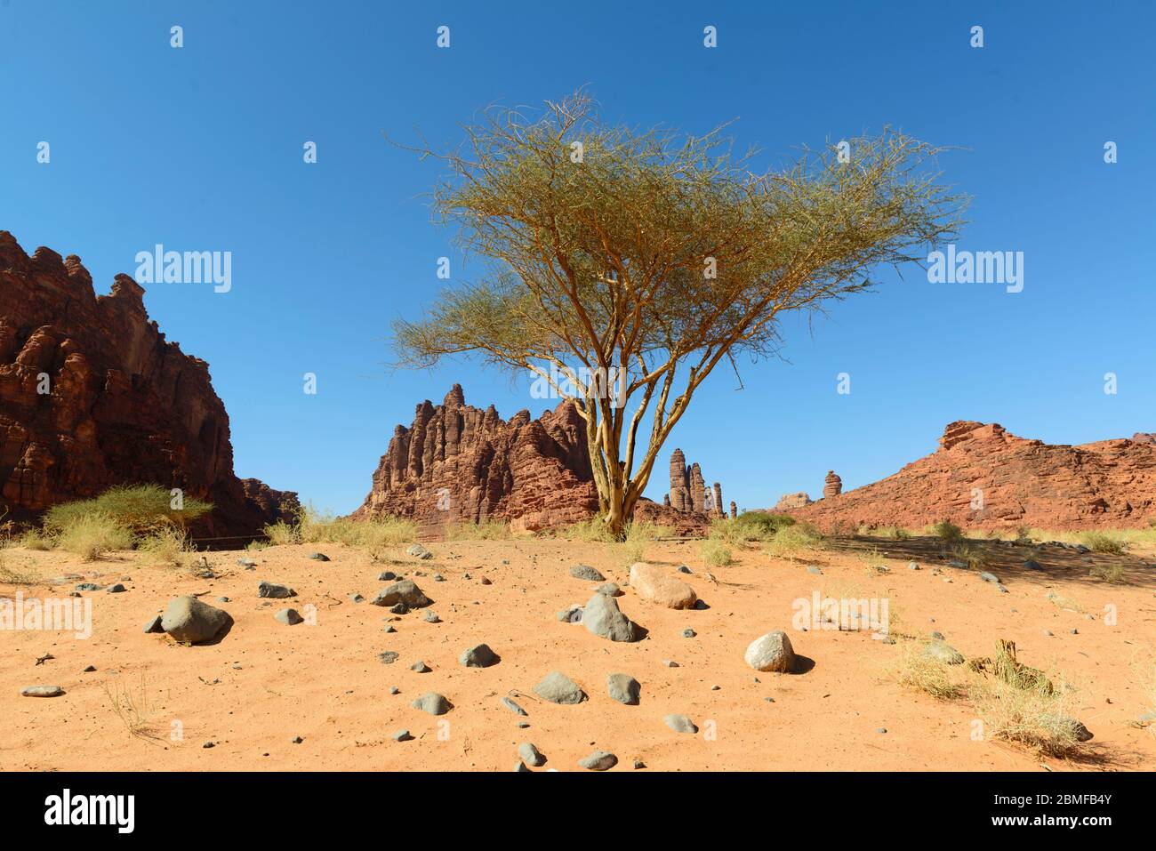 Wadi Disah. Tabuk Region, Saudi Arabia Stock Photo - Alamy