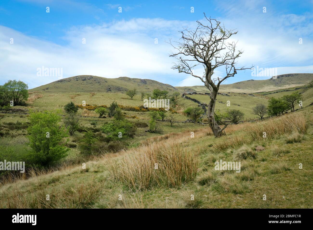 Road solitary leaf hi-res stock photography and images - Alamy