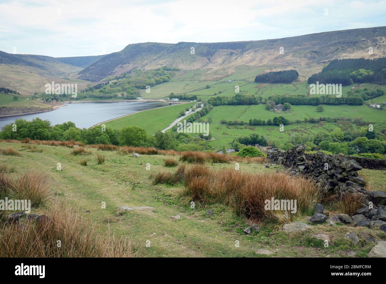 Landscape with Lake Stock Photo - Alamy