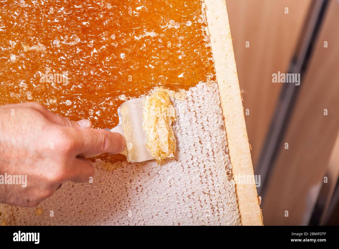 The process of extracting honey from bee honeycombs Stock Photo - Alamy