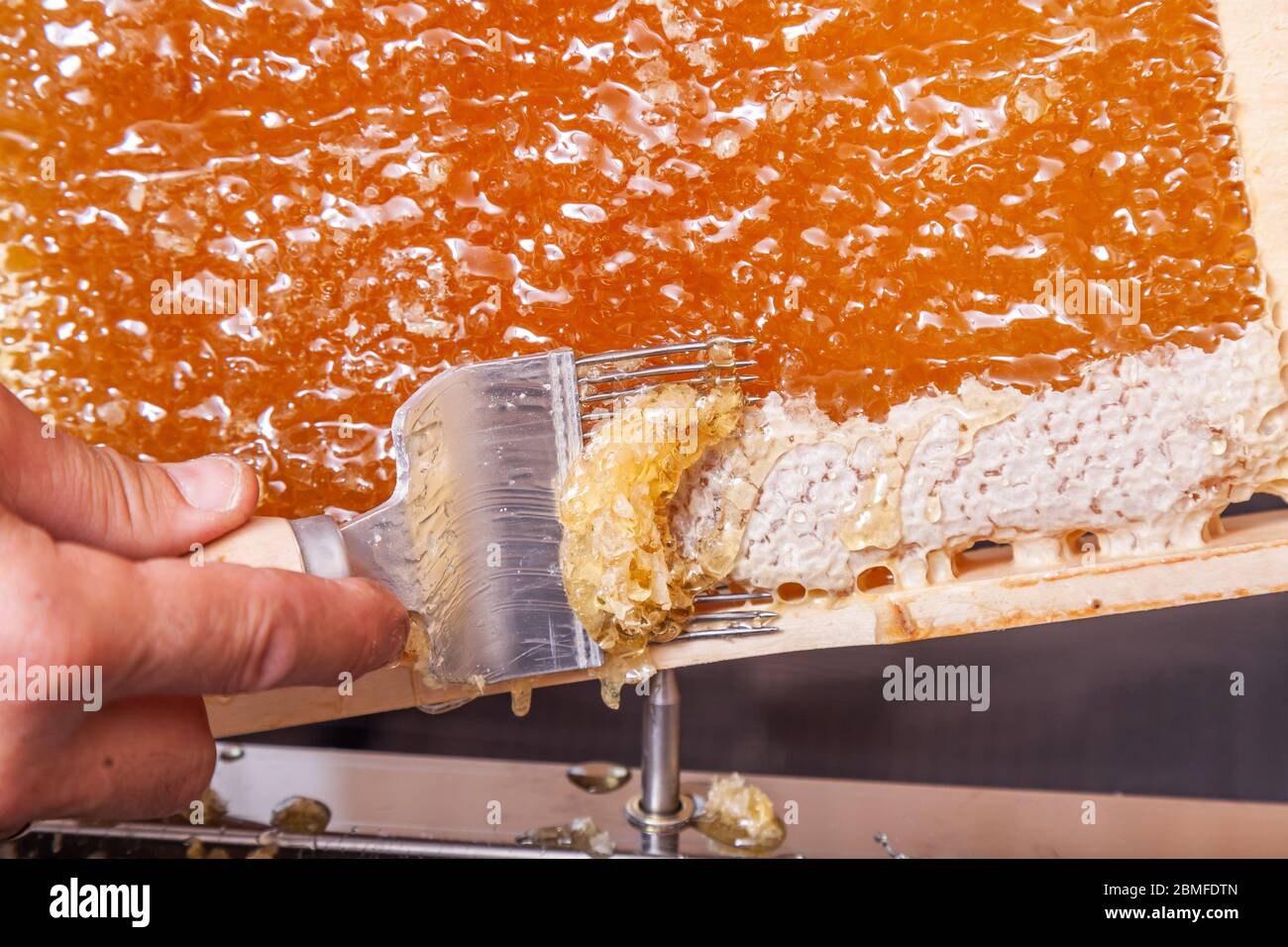 The process of extracting honey from bee honeycombs Stock Photo - Alamy