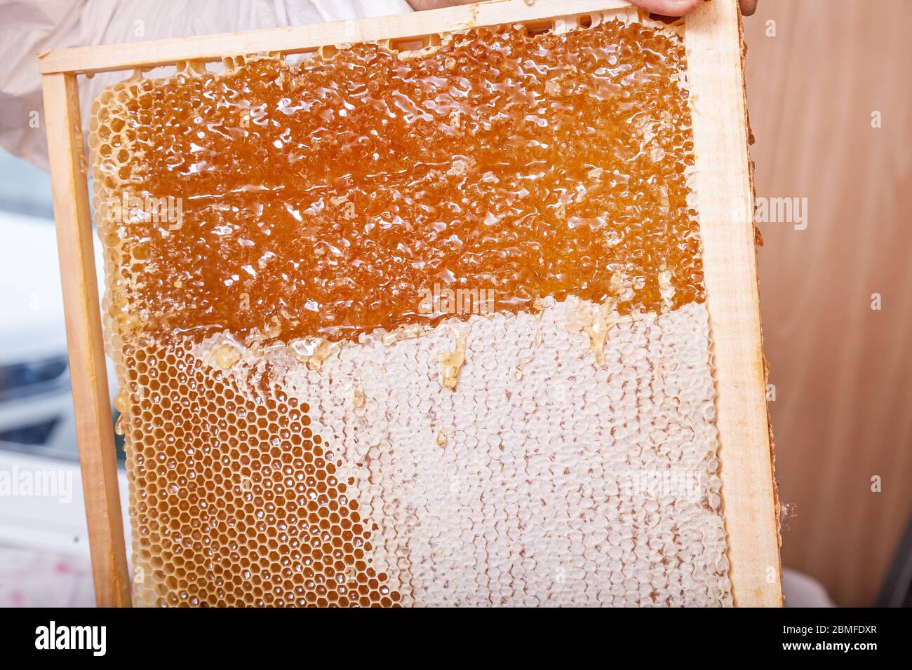 The process of extracting honey from bee honeycombs Stock Photo - Alamy