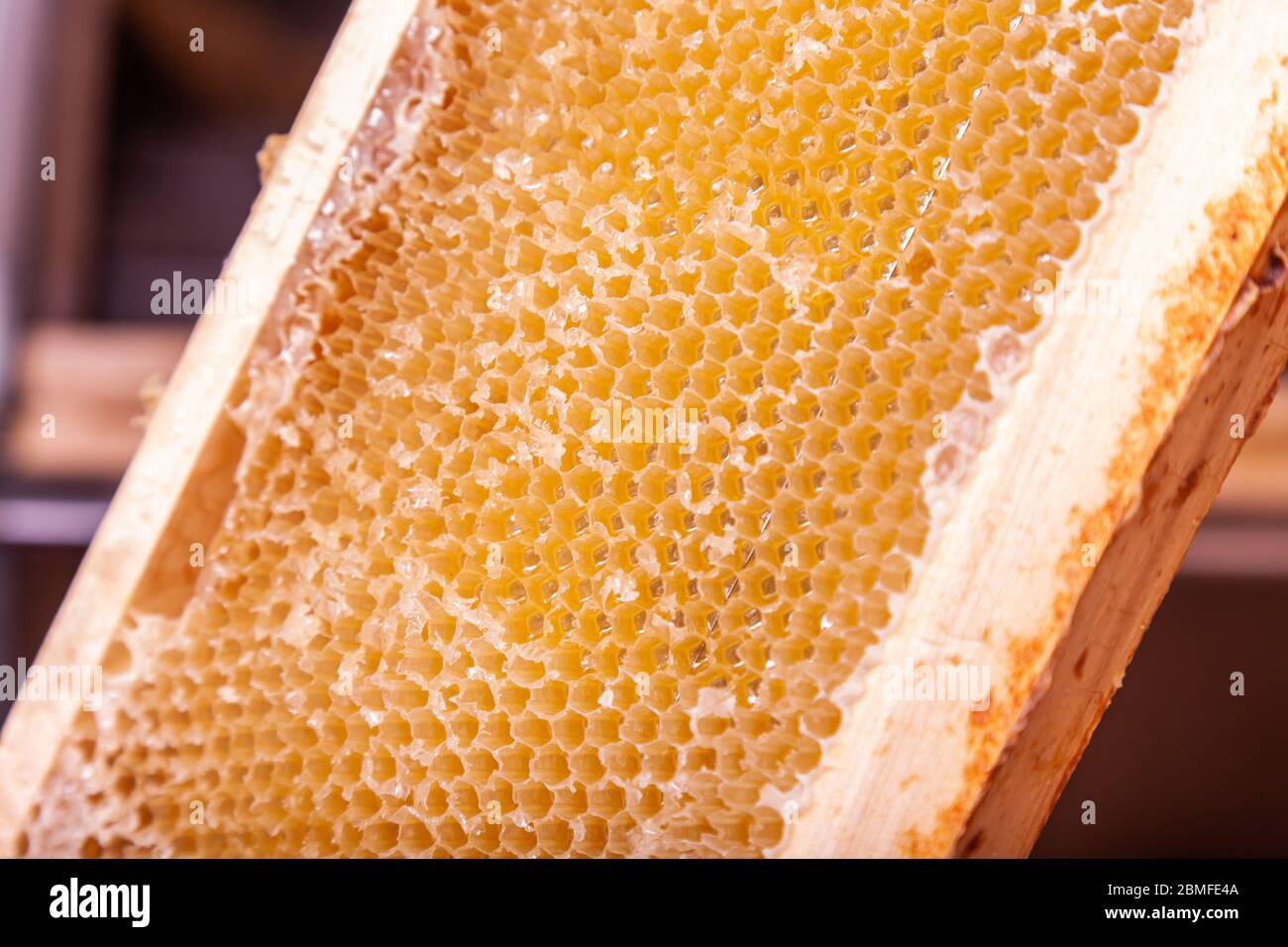 The process of extracting honey from bee honeycombs Stock Photo - Alamy