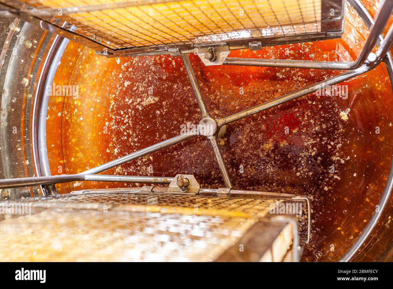 The process of extracting honey from bee honeycombs Stock Photo - Alamy