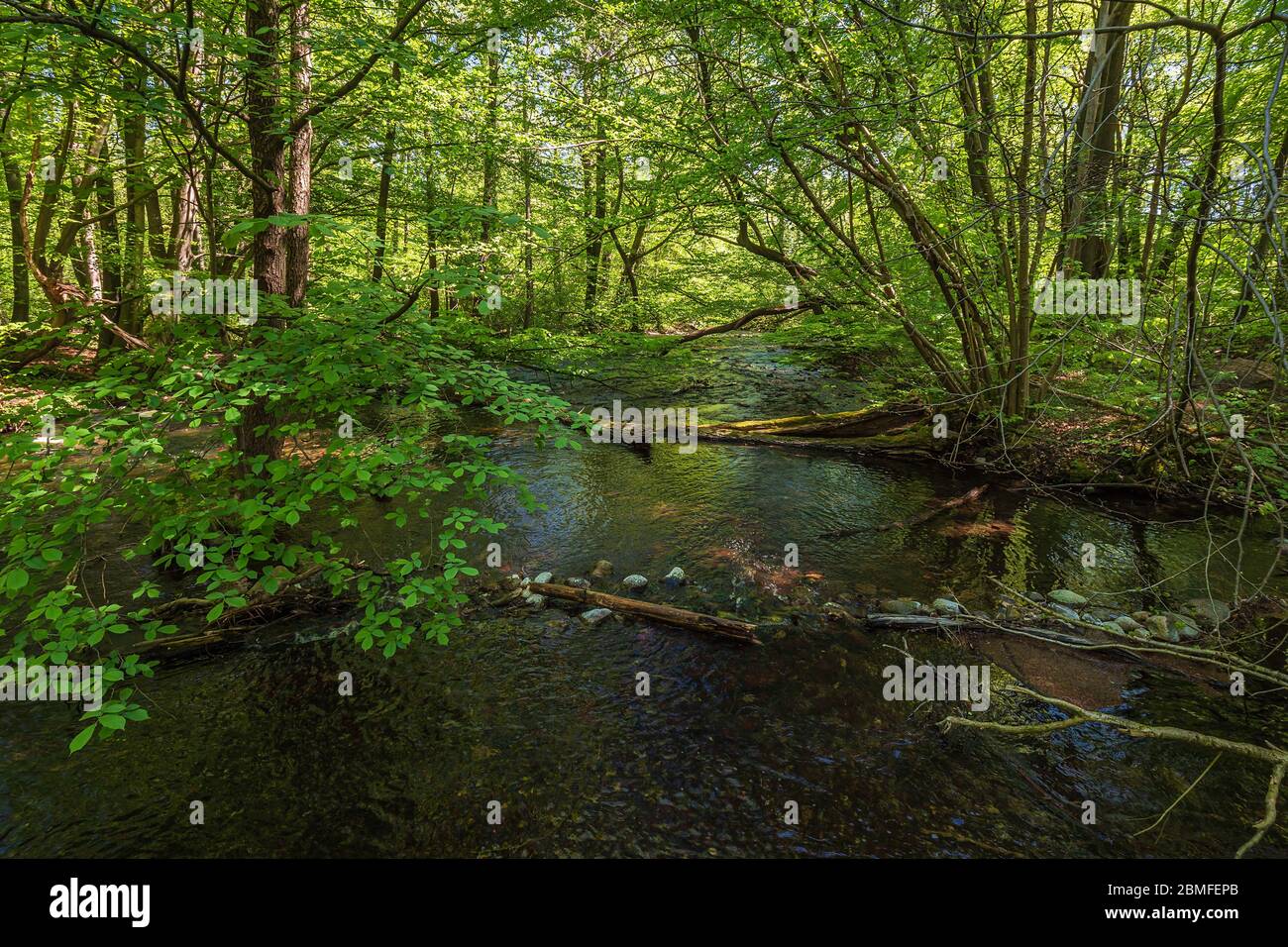 Landscape in the valley of the river Nebel near Kuchelmiß, Germany ...