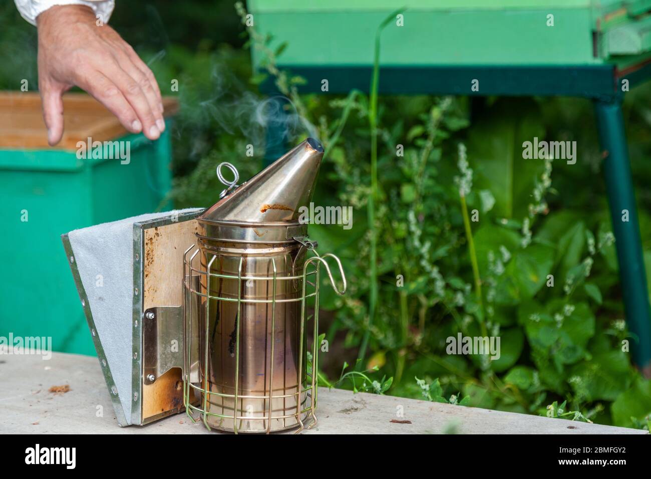 the process of extracting honey from a beehive Stock Photo - Alamy