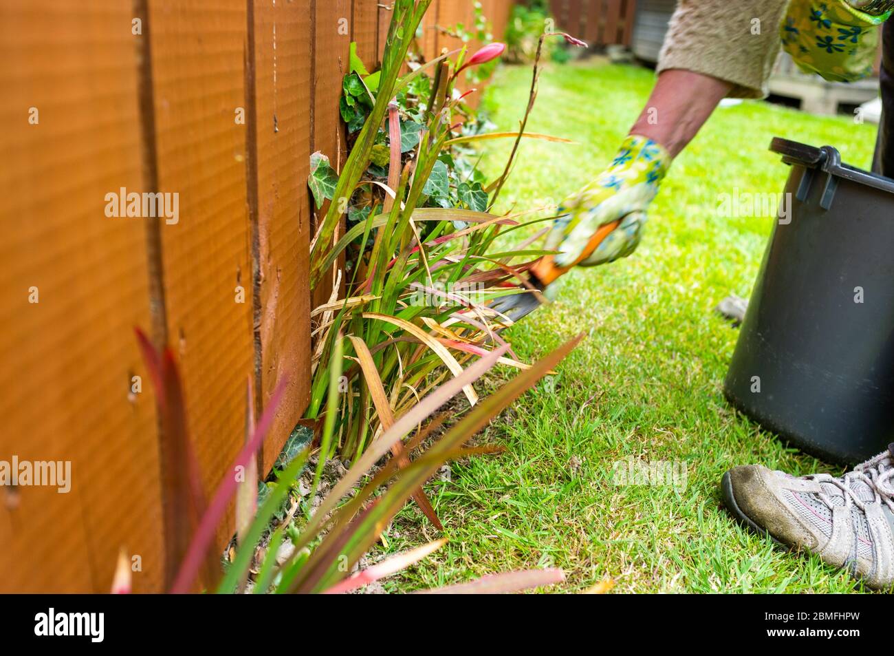 Woman weeding a garden flower bed Stock Photo - Alamy