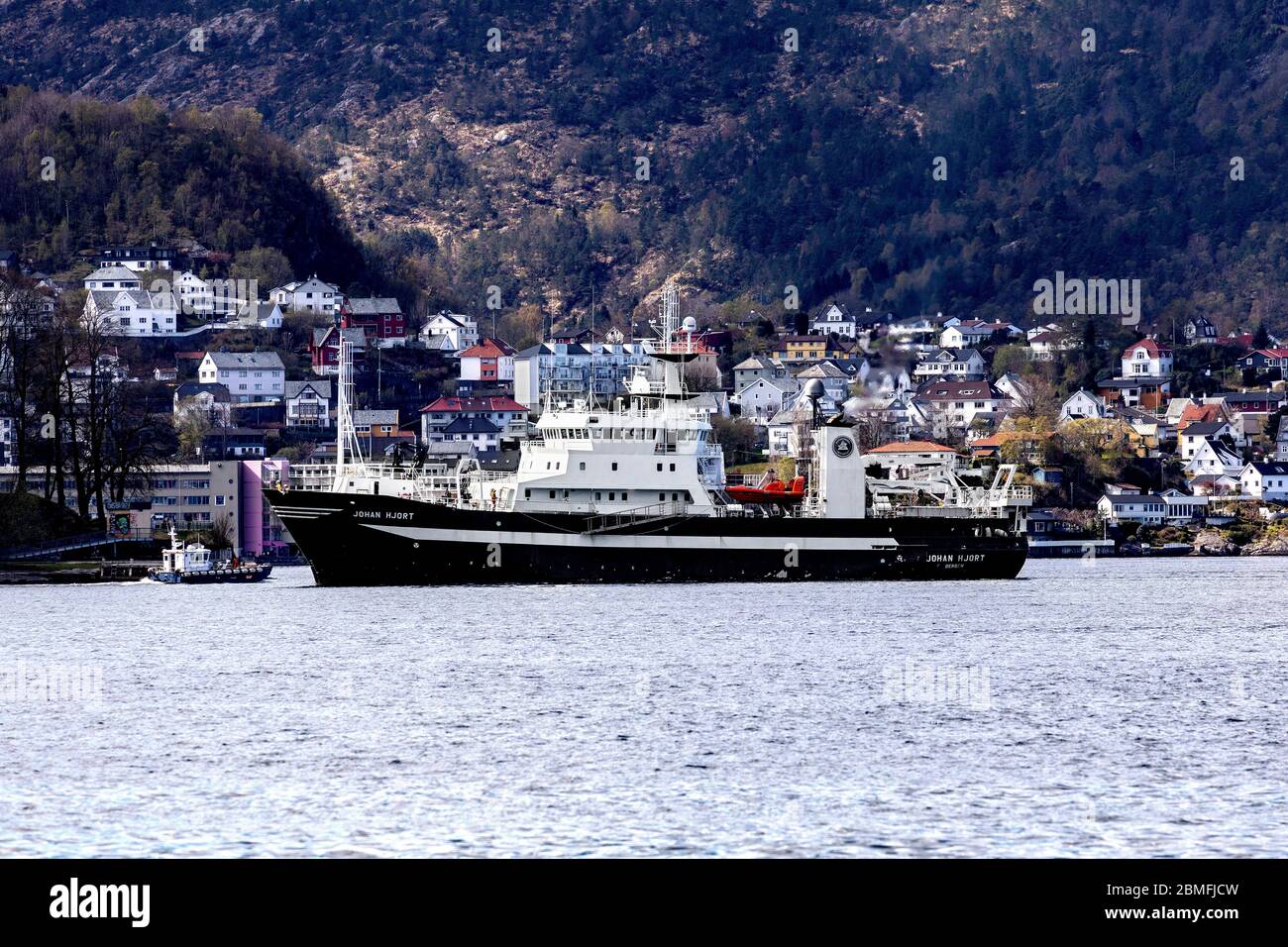 Fishery research and survey vessel Johan Hjort approaching the port of ...