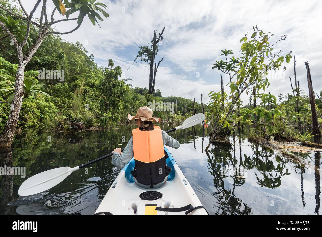 woman kayaker kayaking on river in forest on cloudy day Stock Photo - Alamy