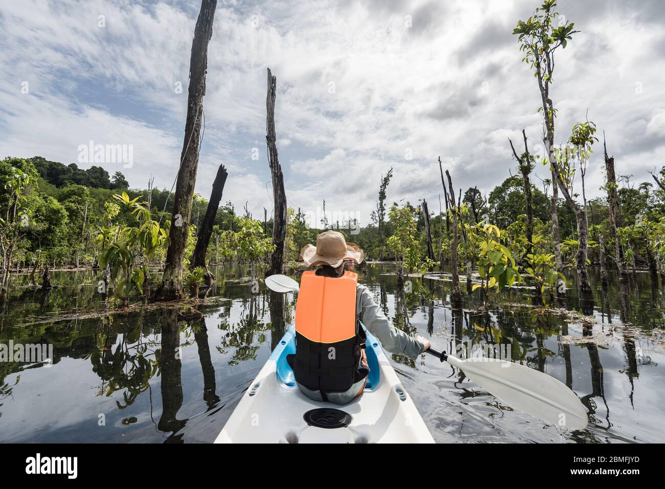 woman kayaker kayaking on river in forest on cloudy day Stock Photo - Alamy