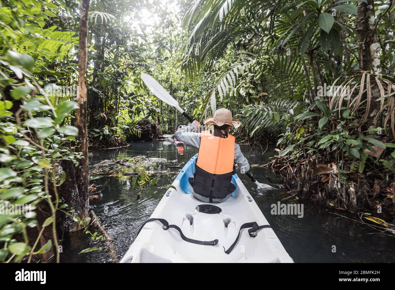 woman kayaker kayaking on river in forest on cloudy day Stock Photo - Alamy