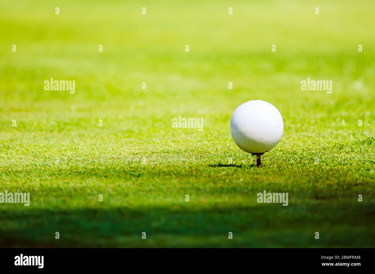 Golf ball on the green lawn background, sunny natural sport image ...