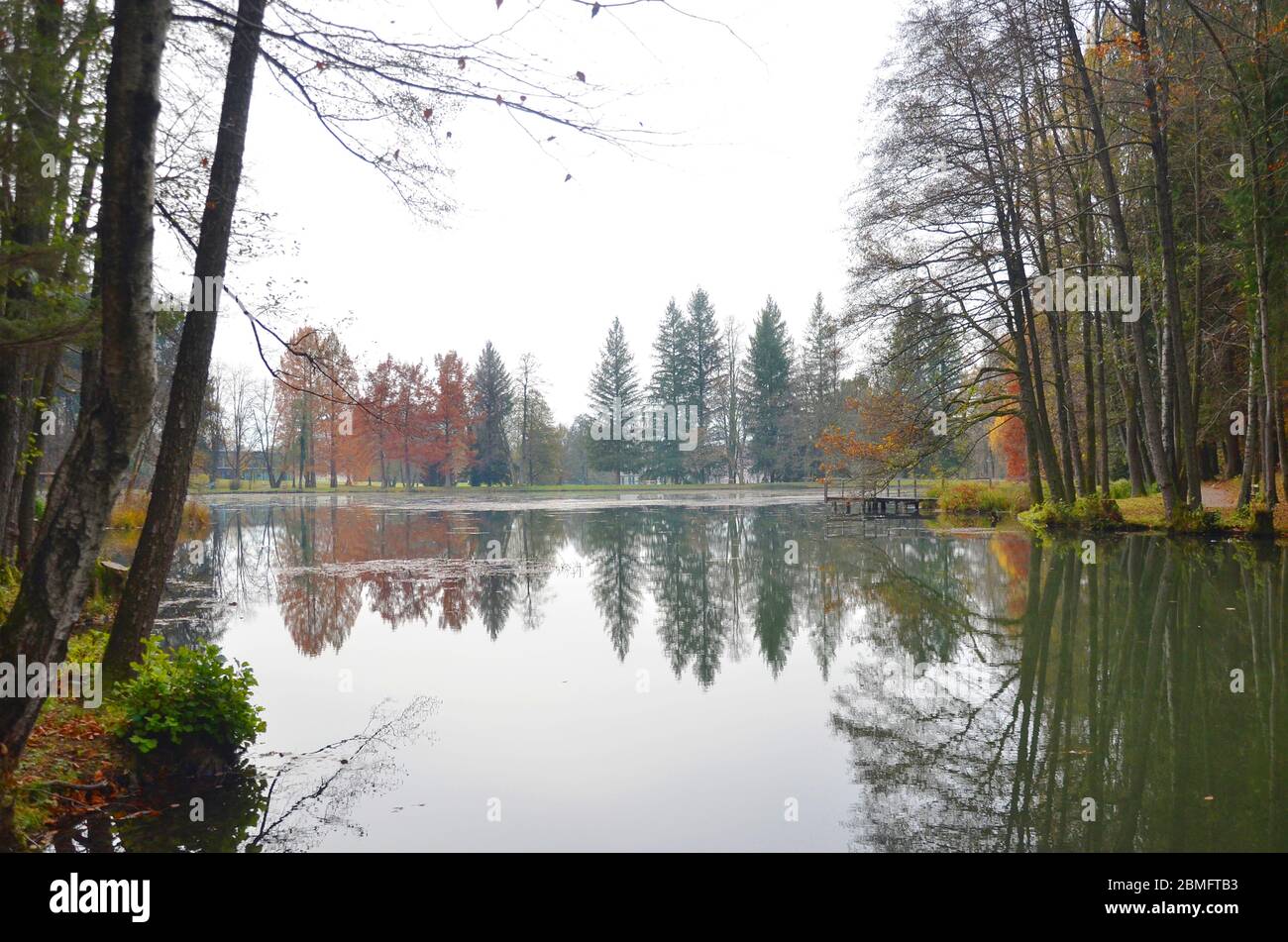 Koseze hi-res stock photography and images - Alamy