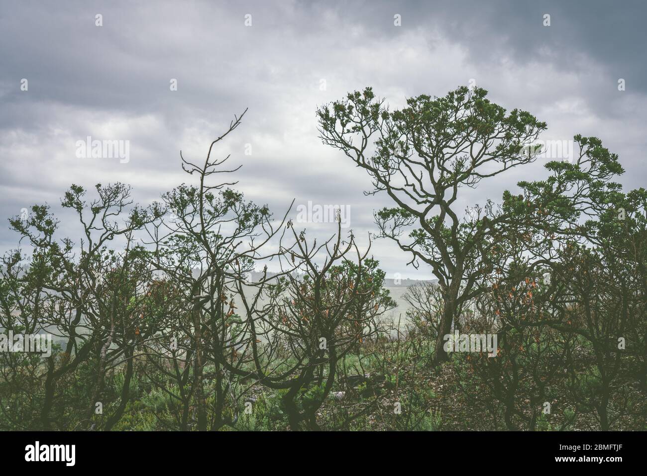 Aerial amazon river dry hi-res stock photography and images - Alamy