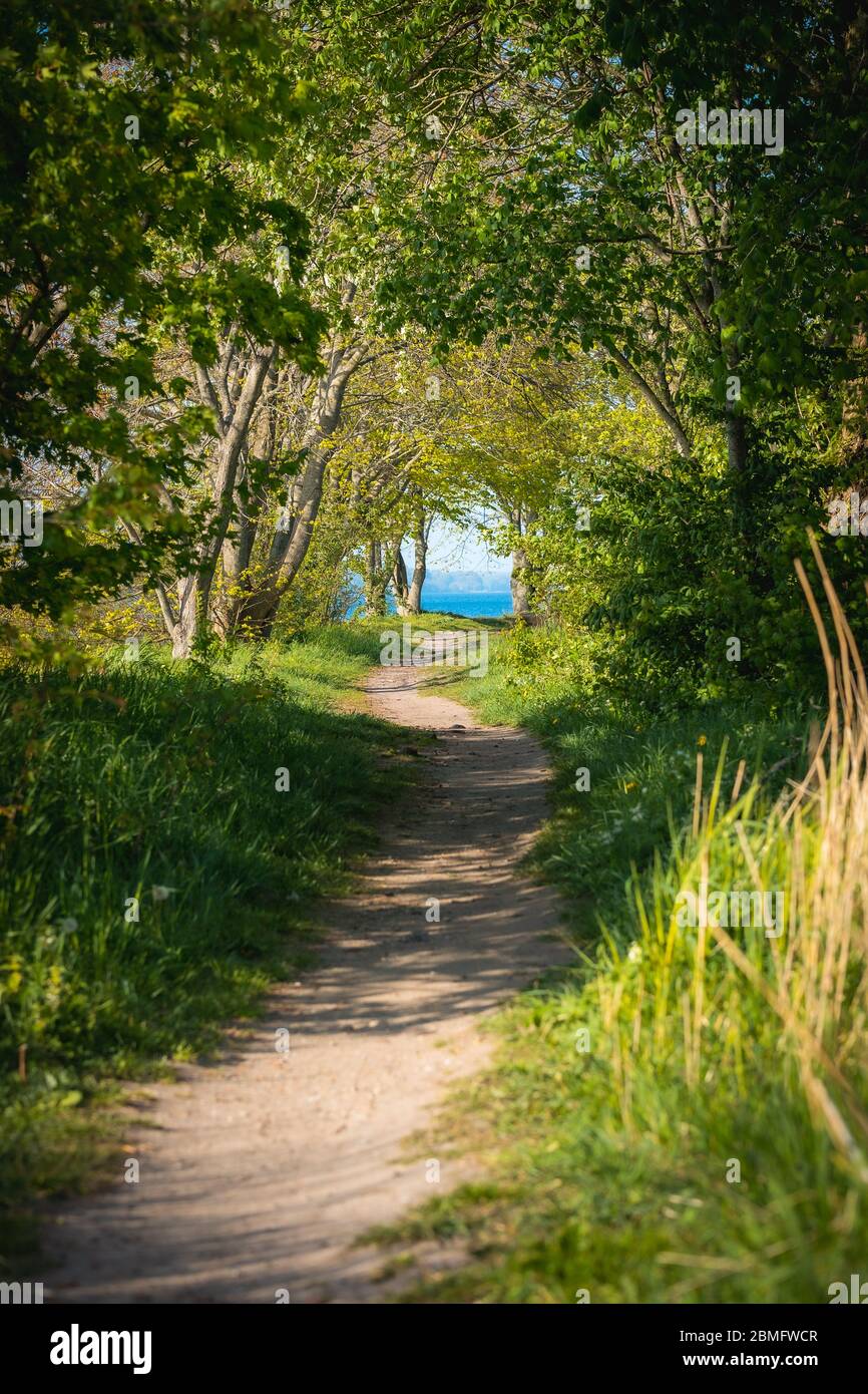 Empty trail hi-res stock photography and images - Alamy