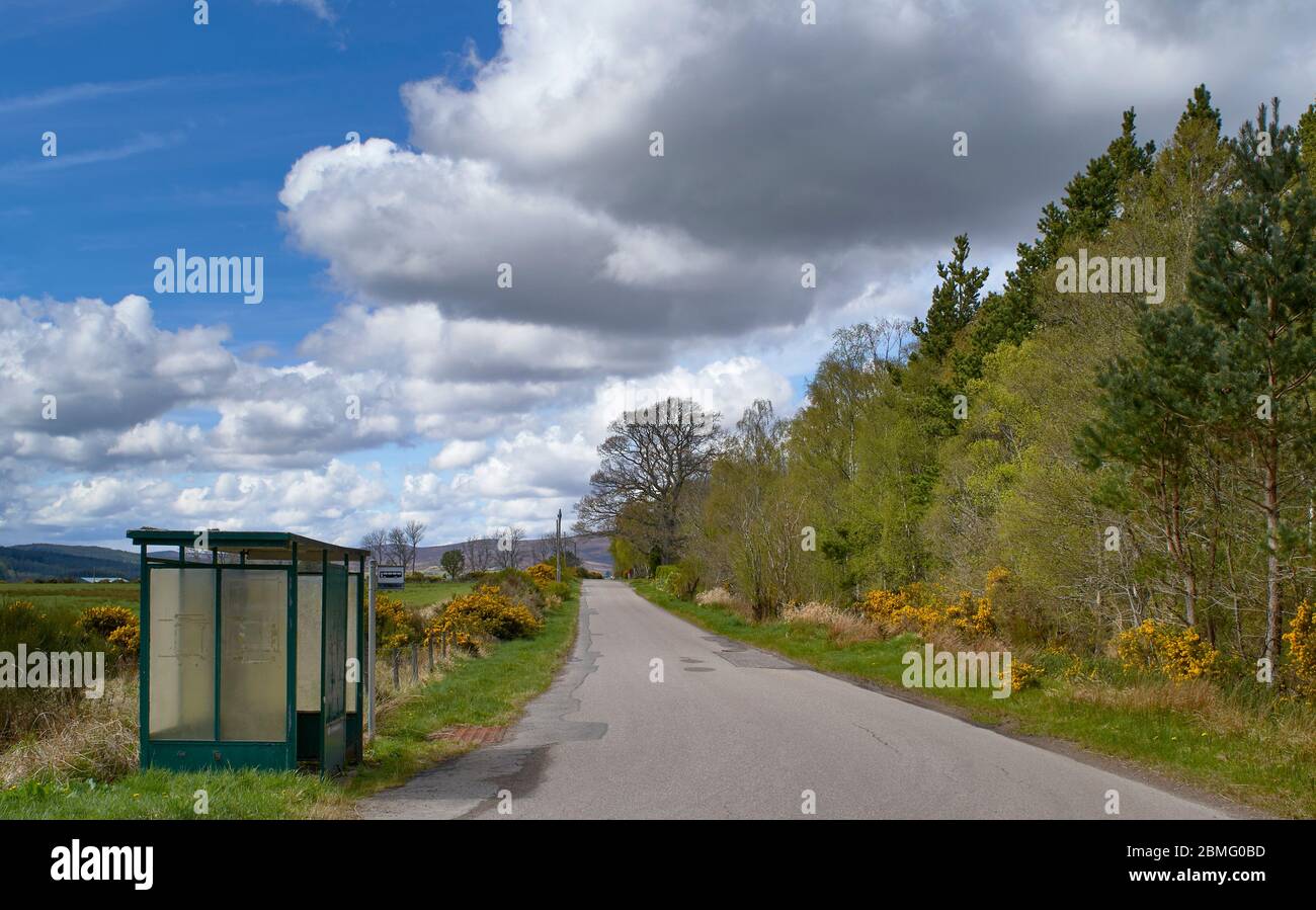 Bus stop tree sign hi-res stock photography and images - Alamy