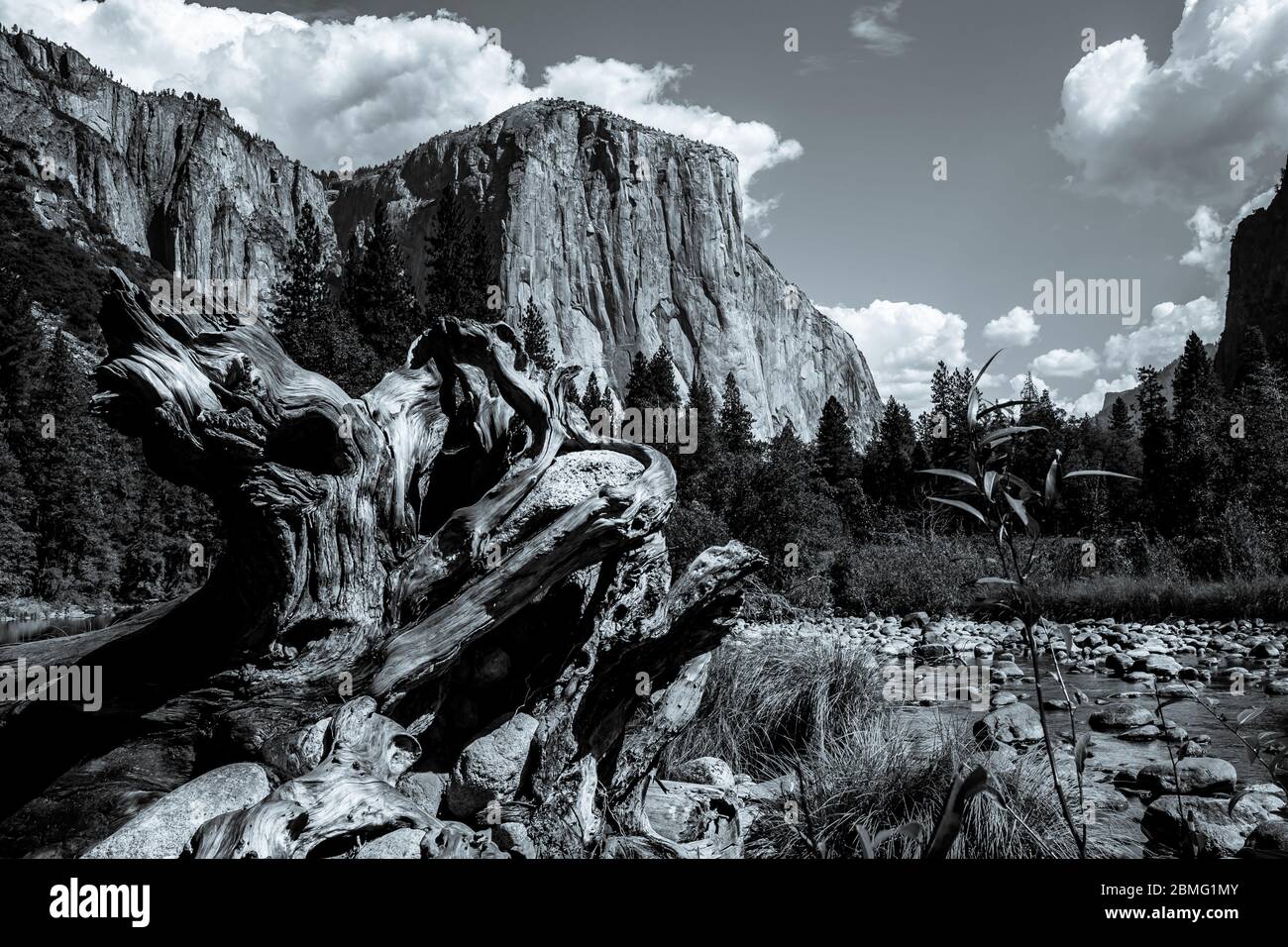 World famous rock climbing wall of El Capitan, Yosemite national park ...