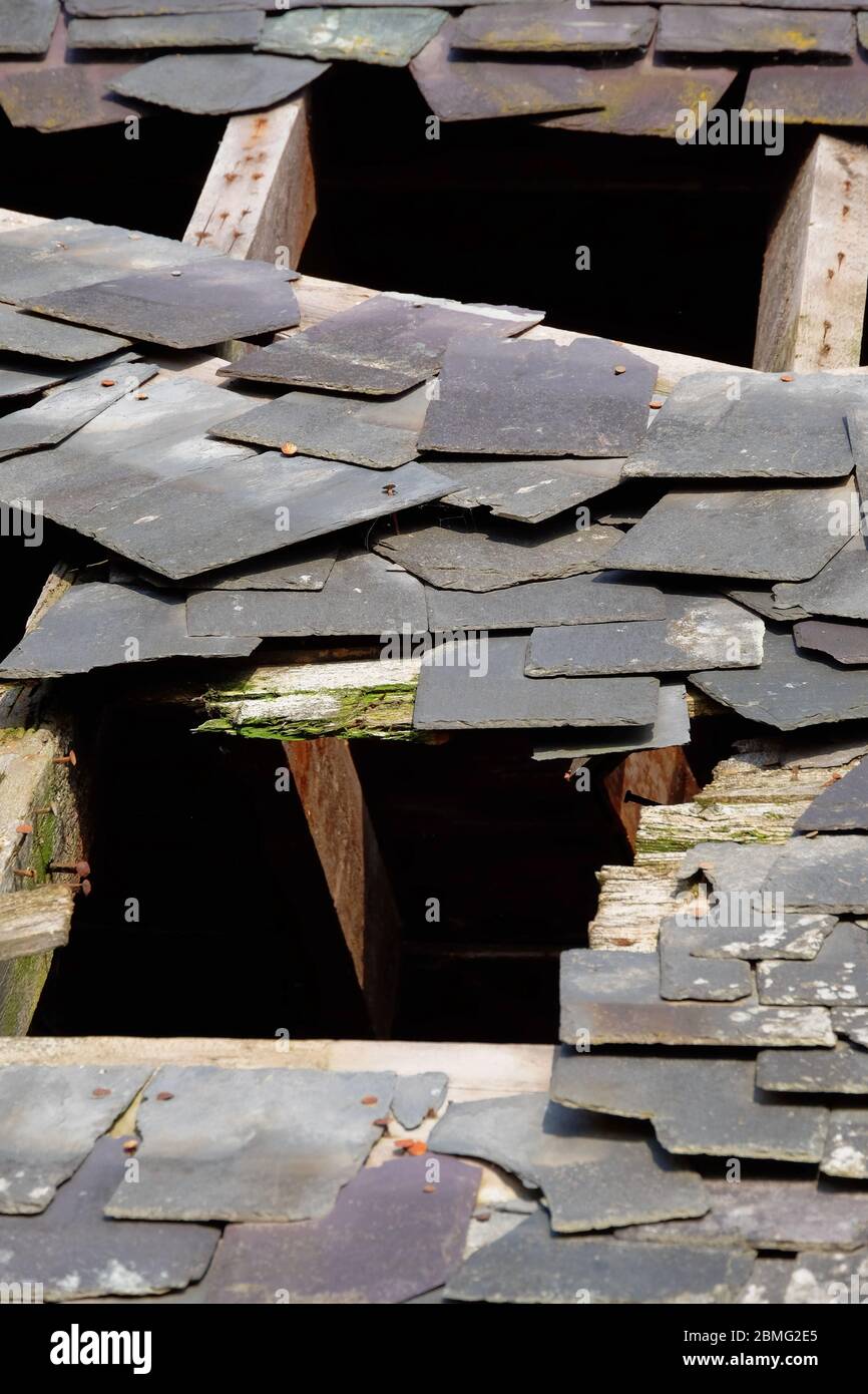 Slates on a broken barn roof. Burrelton Perthshire. Scotland UK Stock ...