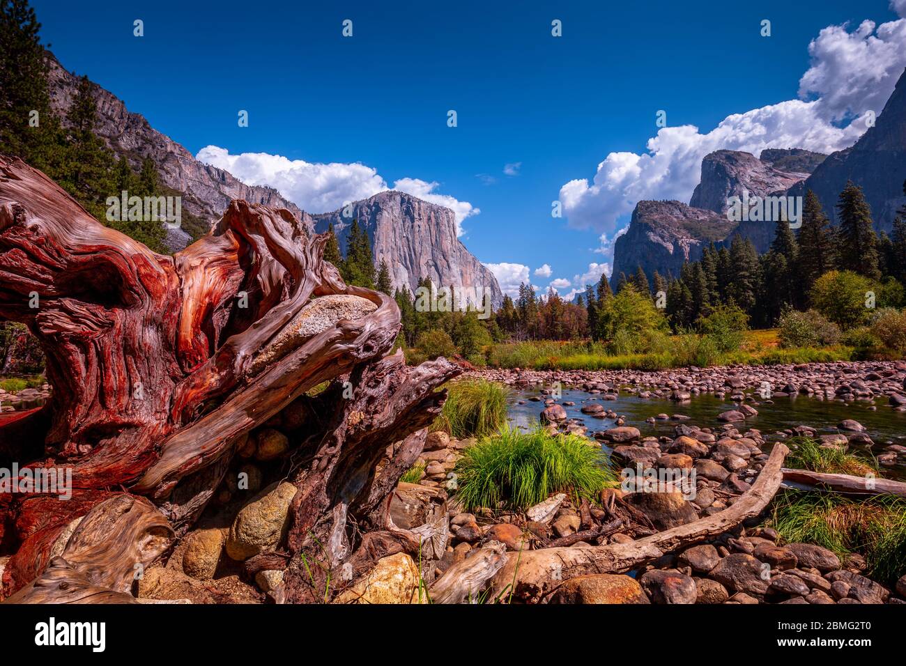 World famous rock climbing wall of El Capitan, Yosemite national park ...