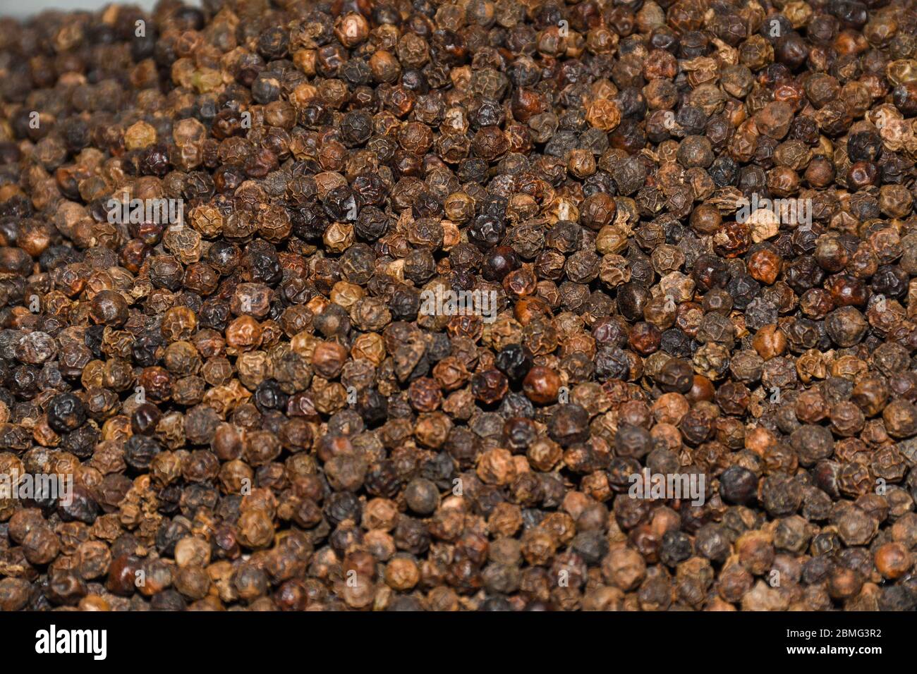 Mixed peppercorns background. Different colored peppercorns, close up ...