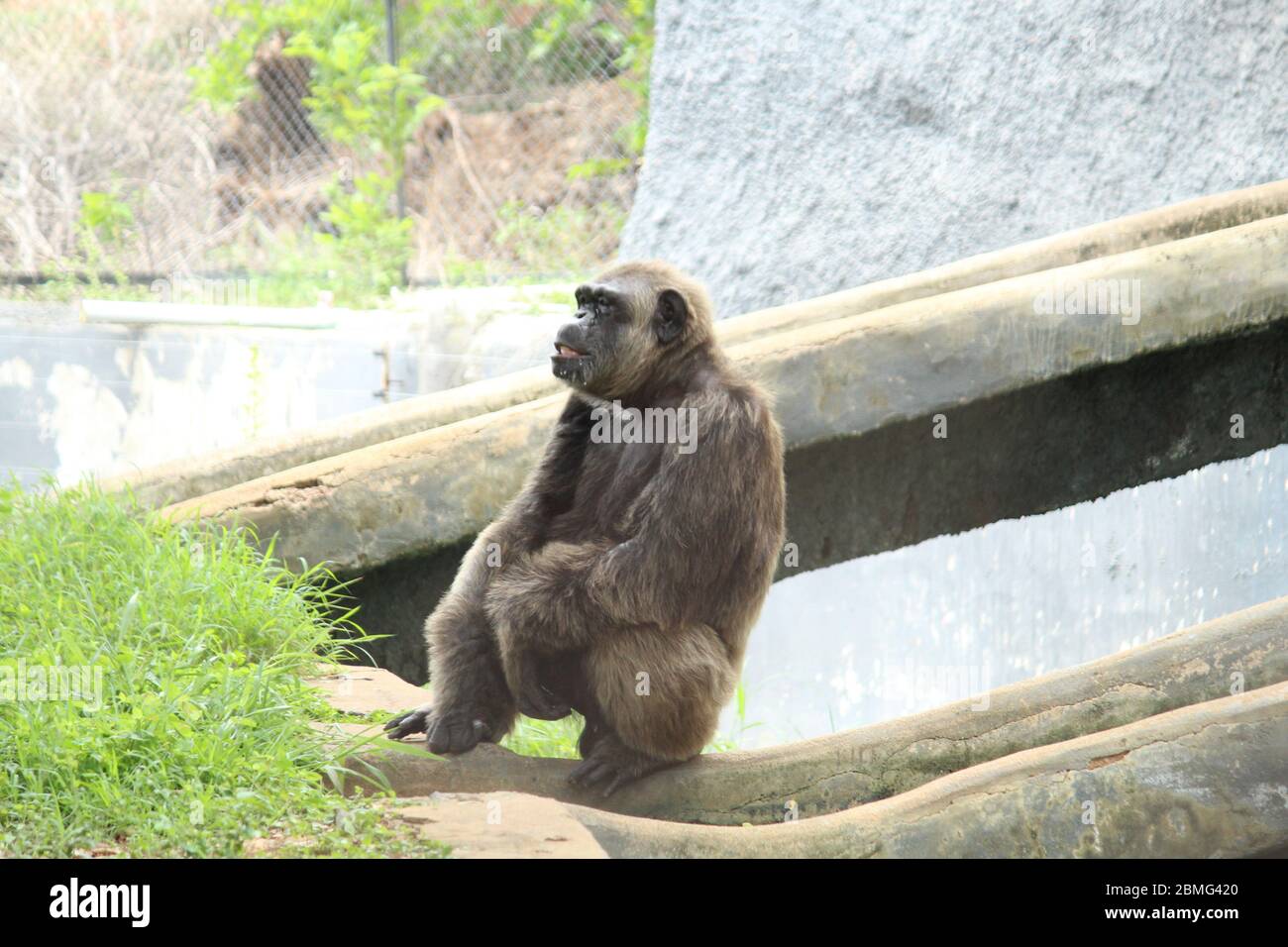 Amirthi forest and zoological park hi-res stock photography and images ...