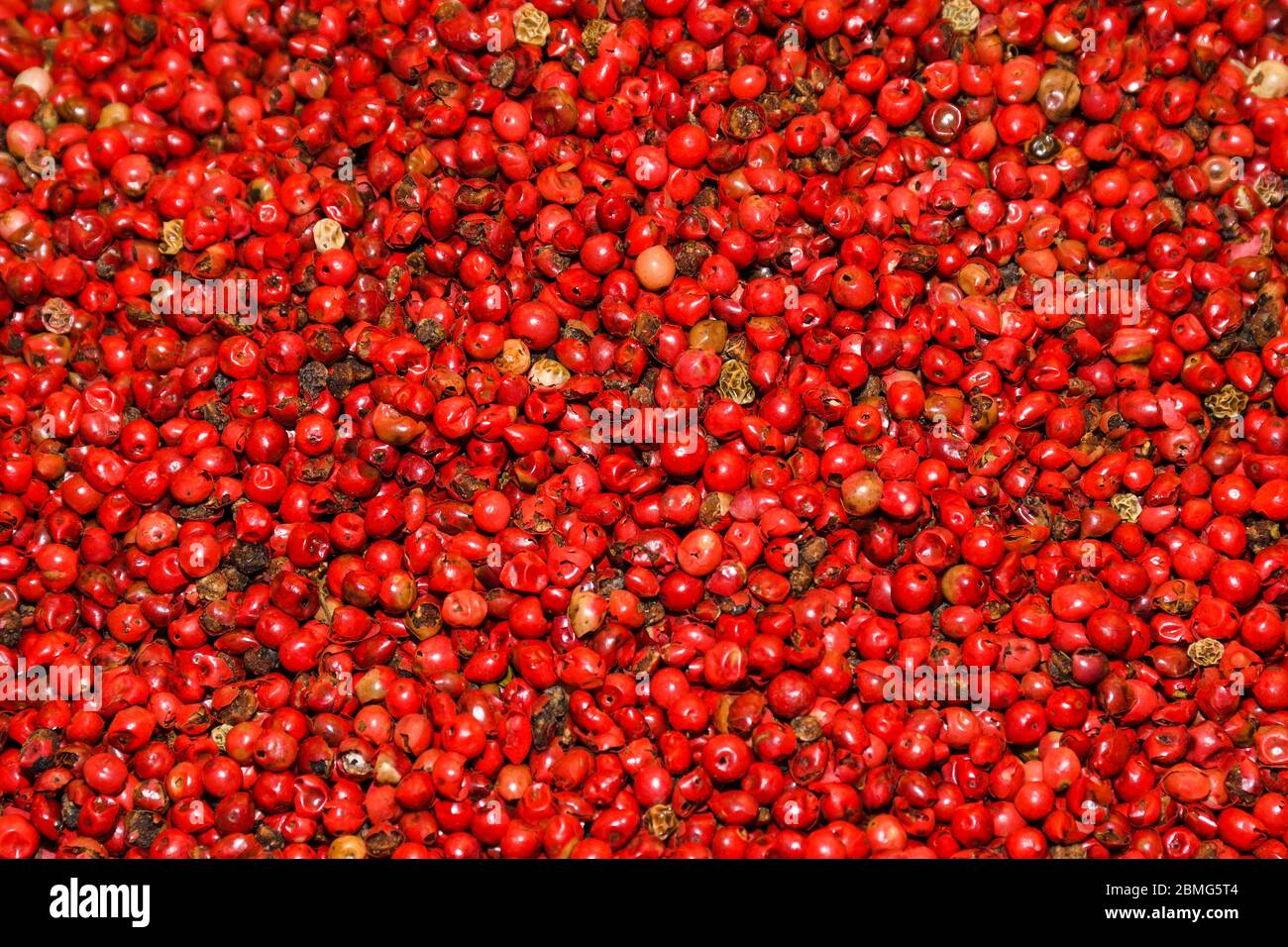 Mixed peppercorns background. Different colored peppercorns, close up ...