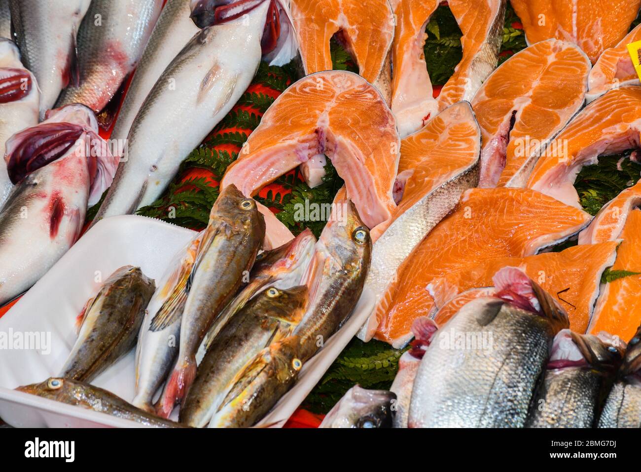 Istanbul, Turkey, 20.12.2019: Fresh seafood on the counter top of the ...